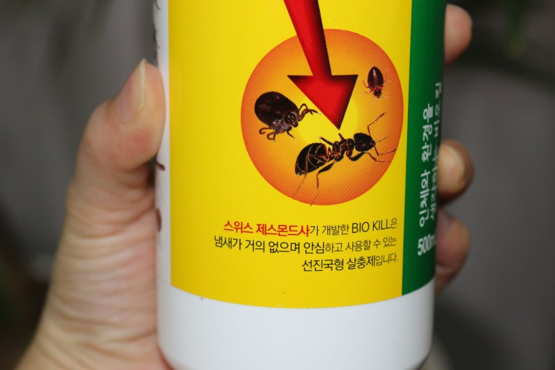 좀벌레 벼룩파리 화분 뿌리파리 등 약국전용 살충제 비오킬 사용법 네이버 블로그