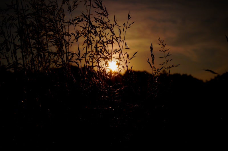 척추고정술에 대한 산재장해보상 : 네이버 블로그