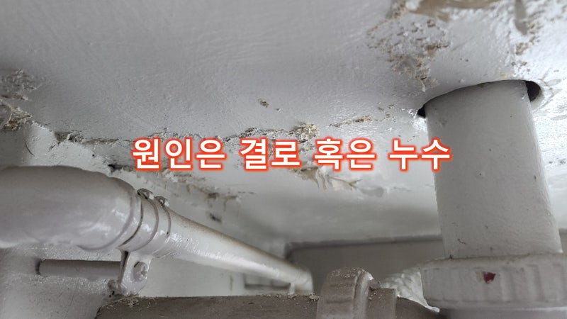 미세누수로 의심되는 베란다 천장 페인트 들뜸 페인트 박리 해결 방안에 관하여서울 서대문구 현저동 아파트 베란다 페인트 벗겨짐