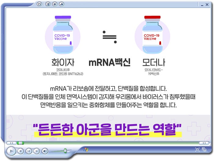 화이자 모더나 차이 비교 및 효과 부작용 총정리 네이버 블로그