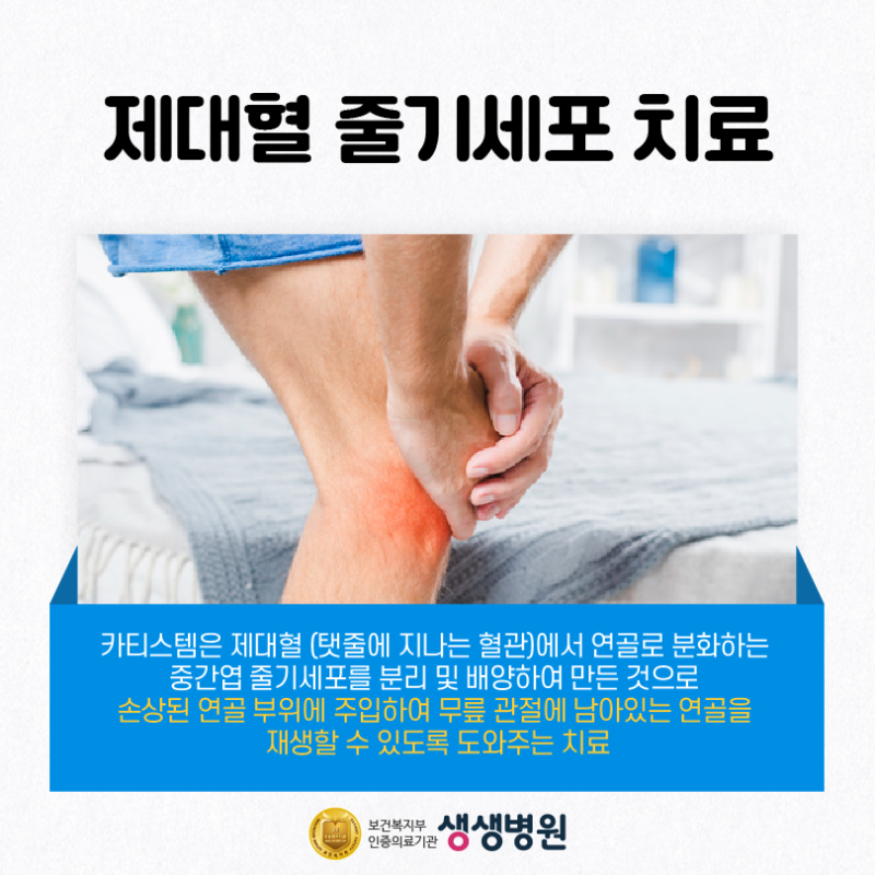 카티스템 줄기세포 치료 제대혈 무릎 연골 재생 주사 네이버 블로그