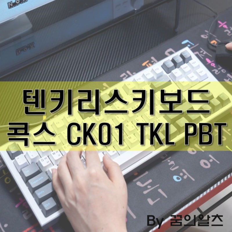 텐키리스 기계식키보드, 콕스 CK01 TKL PBT 사용 후기. : 네이버 블로그