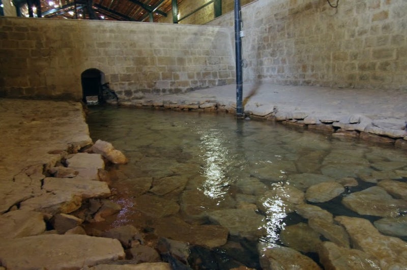 이스라엘 요단 골짜기 여리고 엘리사의 샘(Elisha's spring) : 네이버 블로그