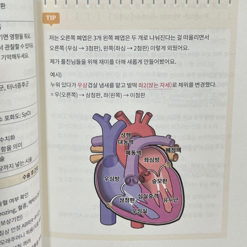 의학용어 Pda 동맥관 개존증 아동 케이스스터디 사정 진단까지 네이버 블로그