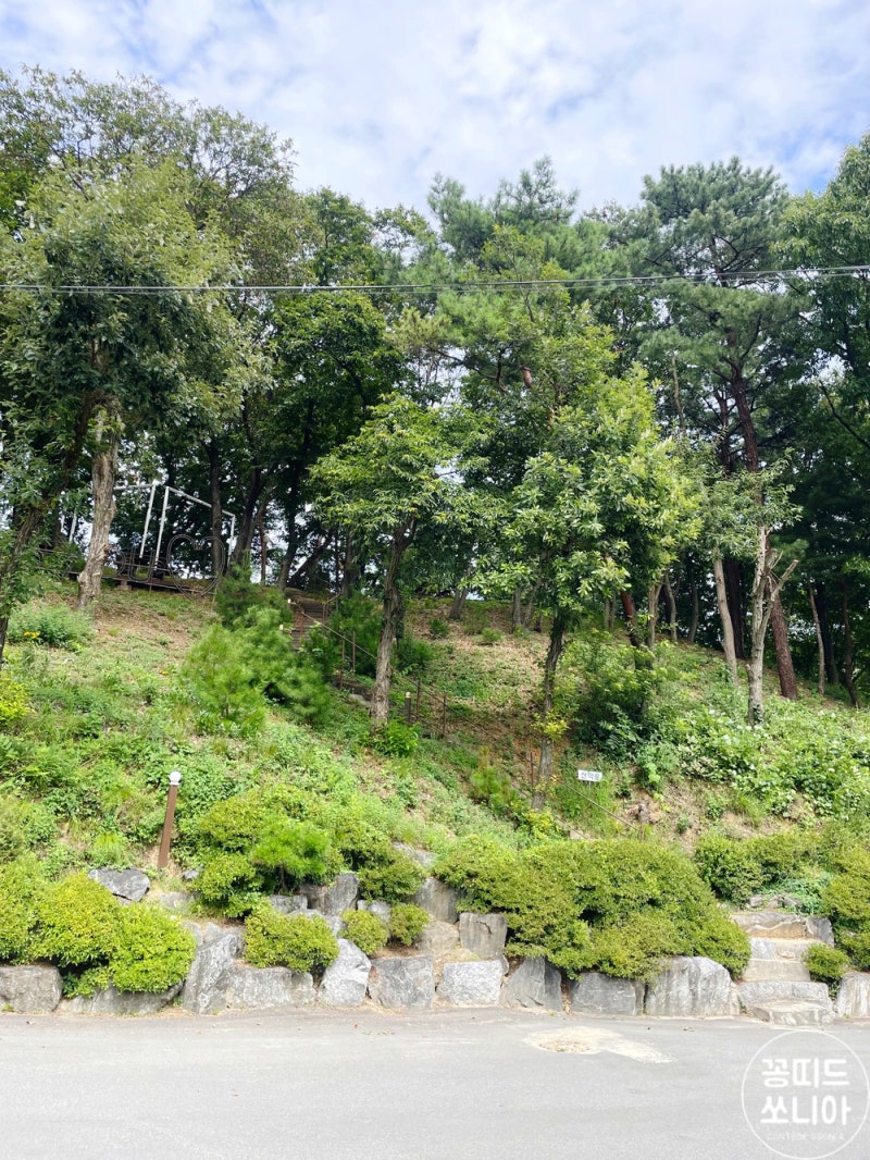 여주 숲을그리다 고기도먹고 커피도마시고 룰루랄라 네이버 블로그