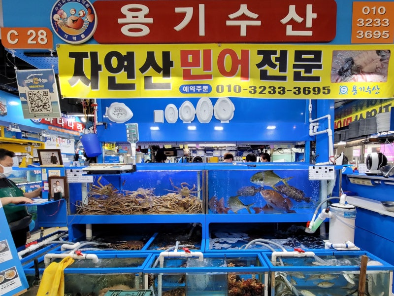 서울송파구 가락시장 회센터 용기수산 가락시장회맛집가락시장횟집인어교주해적단모듬회참돔광어회수산시장 네이버 블로그