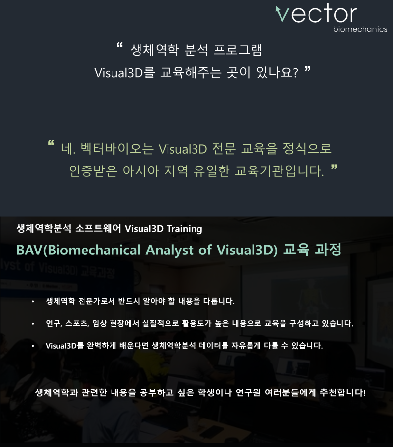 Visual3D는 어떤 프로그램일까? (feat.BAV 안내) : 네이버 블로그