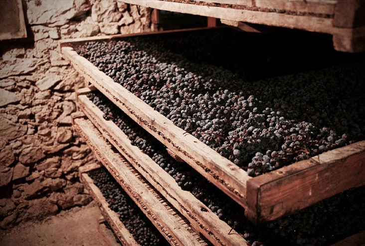 [후기] 콘테 디 깜삐아노 아파시멘토(Conte di Campiano Appassimento) : 네이버 블로그