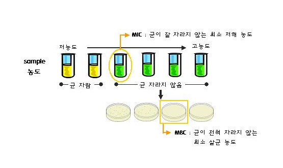 체계적 항균능평가(MIC test, MBC test)와 미생물분석연구_한국의과학연구원 미생물분석센터 : 네이버 블로그