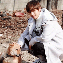 더쿠 - 방탄소년단 뷔에게 고양이 품종 세 가지를 말해보라고 하였다