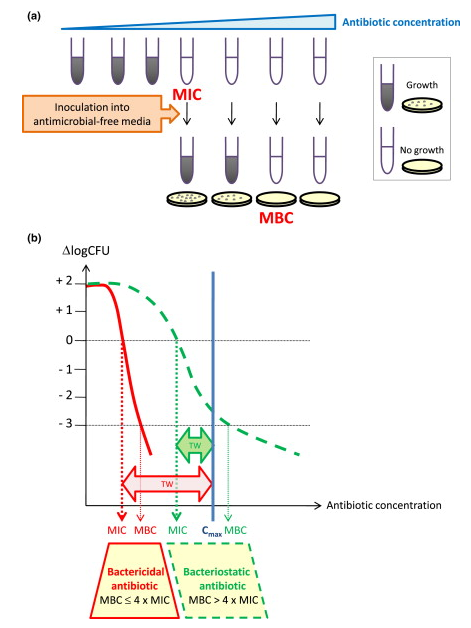 코로나19 연속 2000명대,,,개인 위생을 위한 항균능평가(MIC test ,MBC test)_한국의과학연구원 미생물분석센터 ...