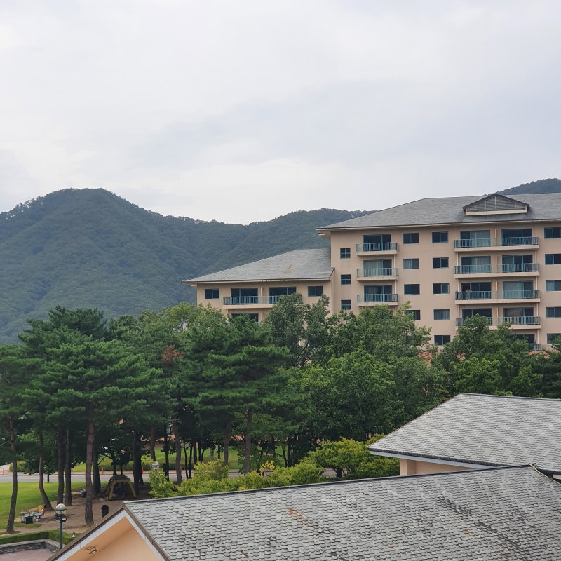 원주 아이랑 여행 오크밸리리조트 골프빌리지 콘도 B동 네이버 블로그