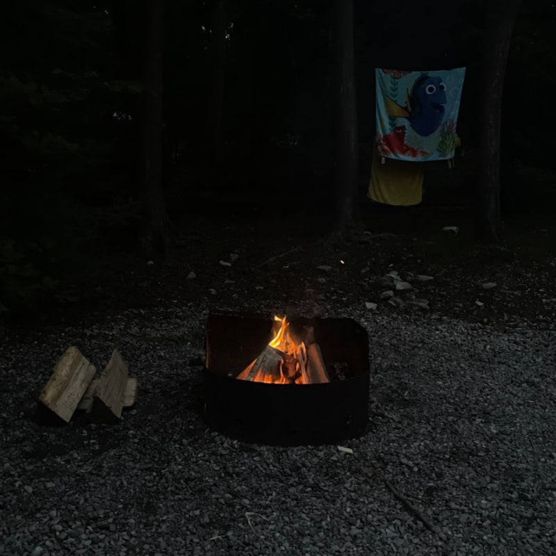 [캐나다] Inverhuron Provincial Park 🏕 / MEC Cabin 4 텐트 ⛺️ / 캠핑뜨개/ 강아지와 함께 ...