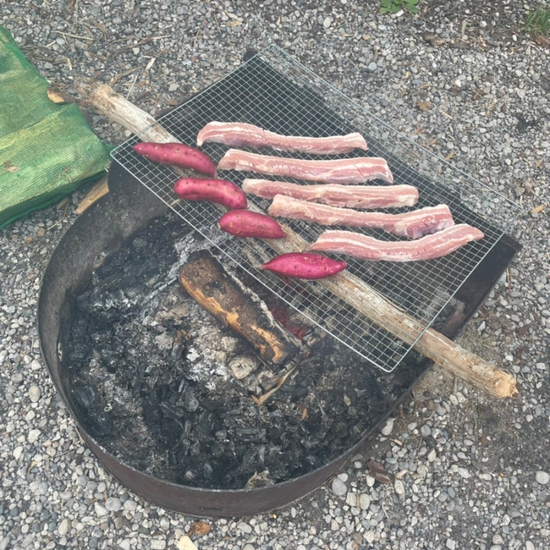 [캐나다] Inverhuron Provincial Park 🏕 / MEC Cabin 4 텐트 ⛺️ / 캠핑뜨개/ 강아지와 함께 ...