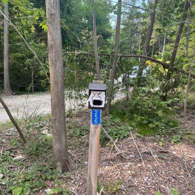 [캐나다] Inverhuron Provincial Park 🏕 / MEC Cabin 4 텐트 ⛺️ / 캠핑뜨개/ 강아지와 함께 ...