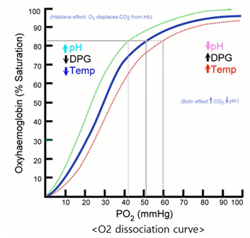 인공호흡기 이해와 적용 -2 : 네이버 블로그