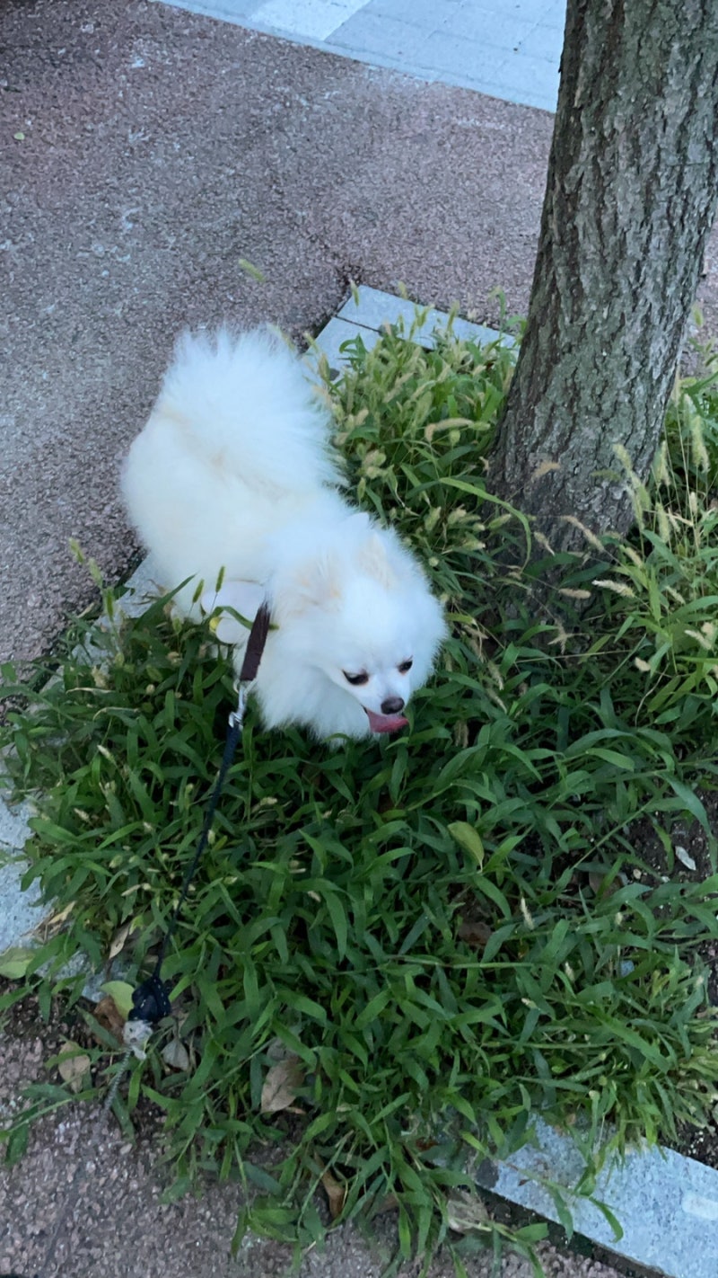 day 17 에서 18 🥘 : 네이버 블로그