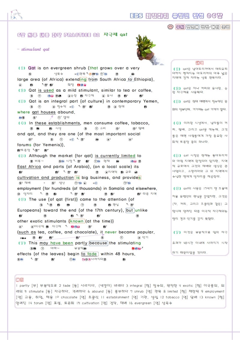 Ebs 리딩파워 유형편 완성 6강 분석 노트 한줄해석 변형 문제 워크북 네이버 블로그