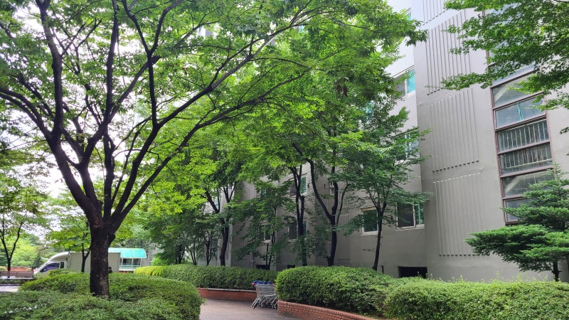 대구시 달서구 용산동 살기좋은아파트 롯데캐슬그랜드 급매 있습니다~~ 네이버 블로그