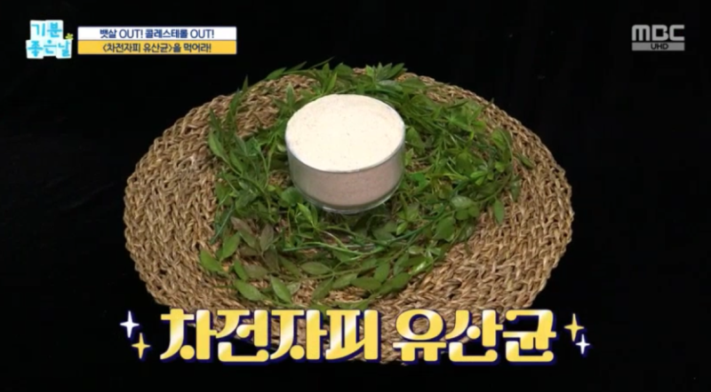 차전자피 효능 가루 차전자피 유산균 부작용 없이 먹는 법 질경이 씨앗 네이버 블로그