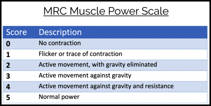 motor grade(운동기능사정)과 SMC 쉽게 보기 : 네이버 블로그