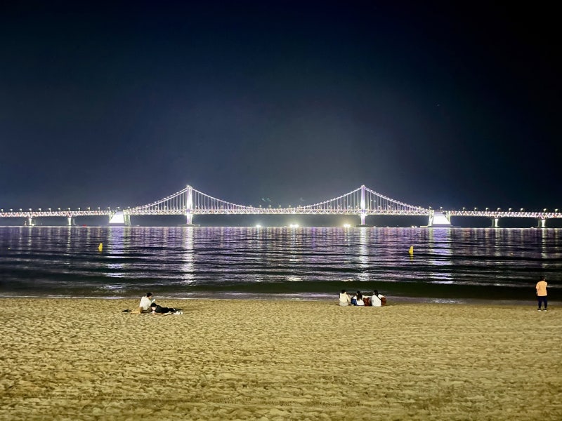 펭수와 함께한 광안리해수욕장 야경주차장 무료 꿀팁 네이버 블로그
