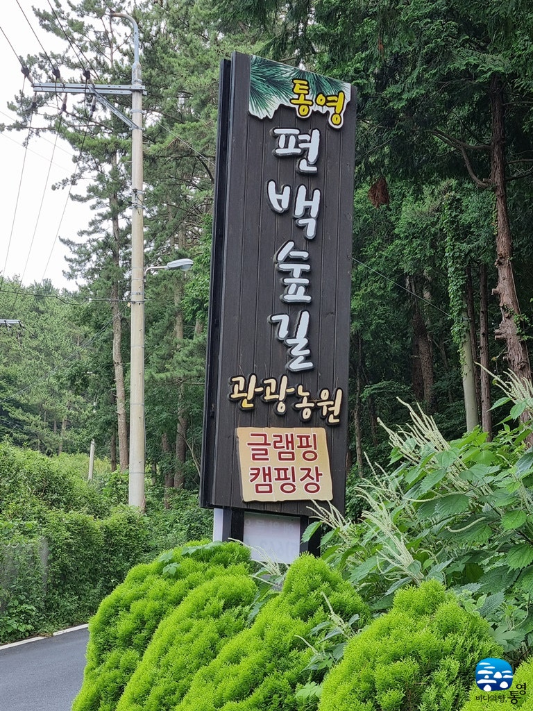 아이들이 좋아하는 캠핑 And 글램핑장 통영편백숲길캠핑장 네이버 블로그