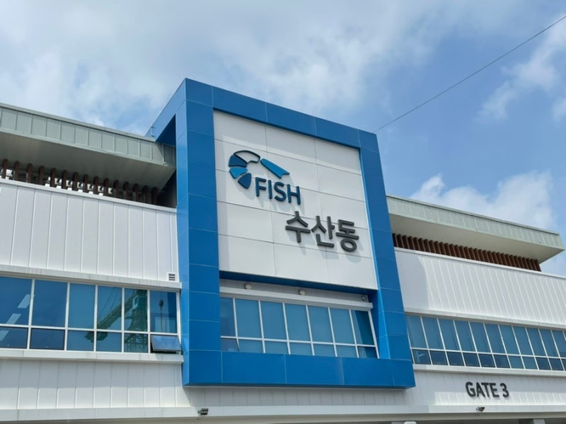 수원시 농수산물도매시장 수산동 해산물구입 가을 전어대하멍게가리비산낙지 시세 새바다수산 오양수산 네이버 블로그