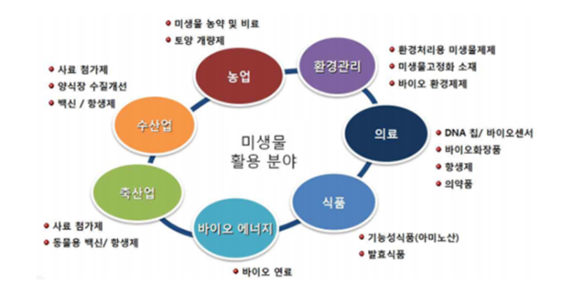 미래산업의 주역 자원미생물의 활용과 연구한국의과학연구원 미생물자원화센터 네이버 블로그