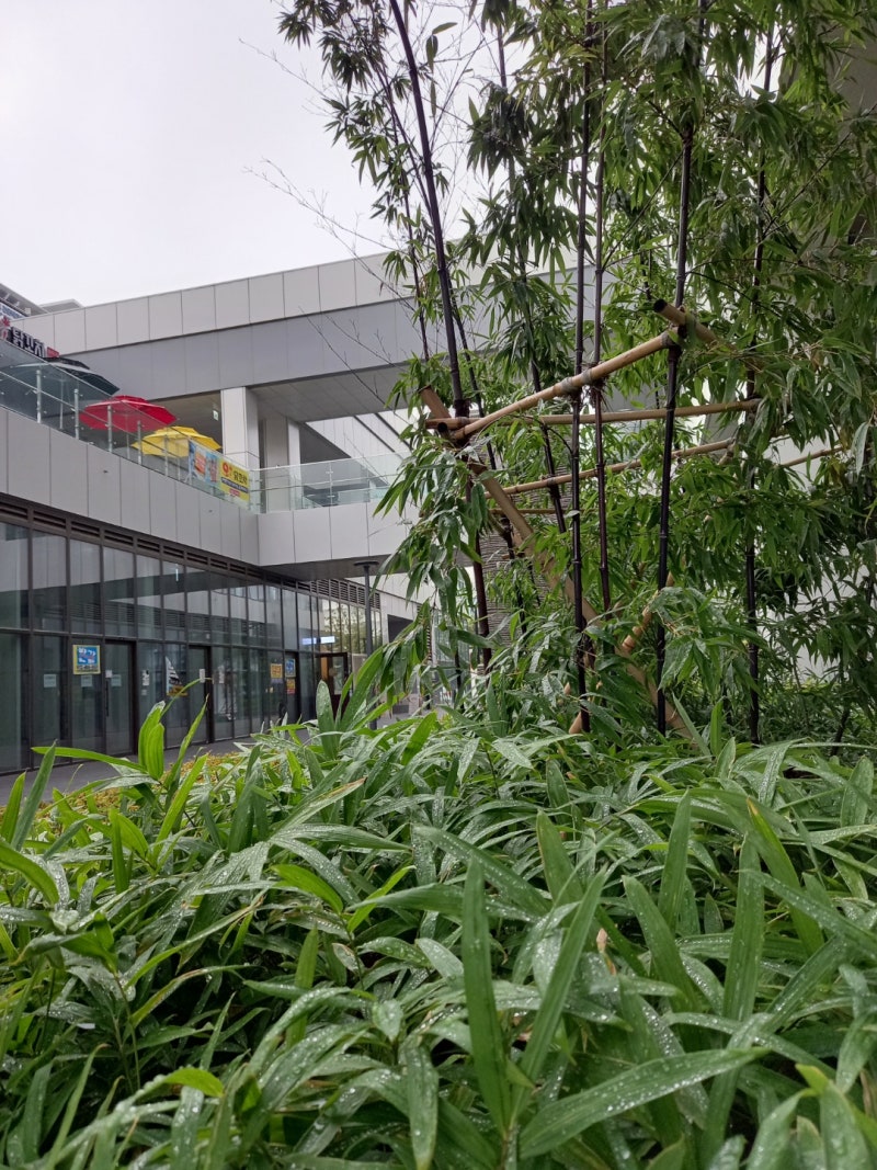 트리플 타워 상가 2층비 오는 날에 더 맛있는 쌀국수 네이버 블로그