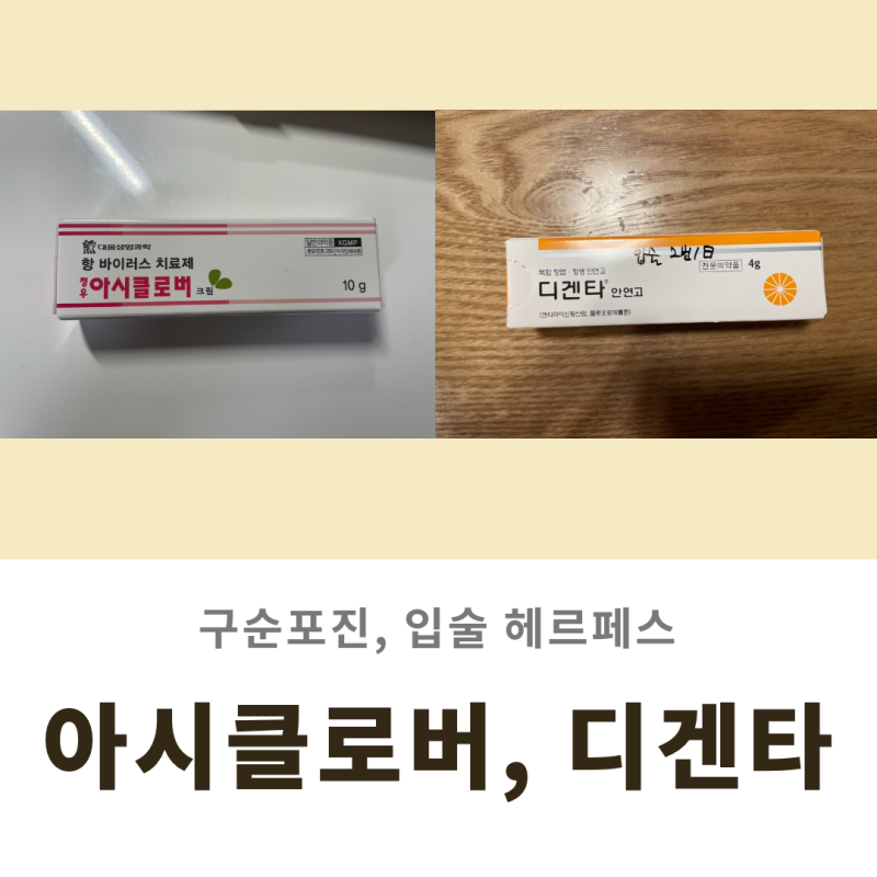 리뷰 입술 구순 포진 연고 입술 헤르페스 연고 2종 리뷰 아시클로버 디겐타 안연고 상황에 맞는 연고 고르는 법