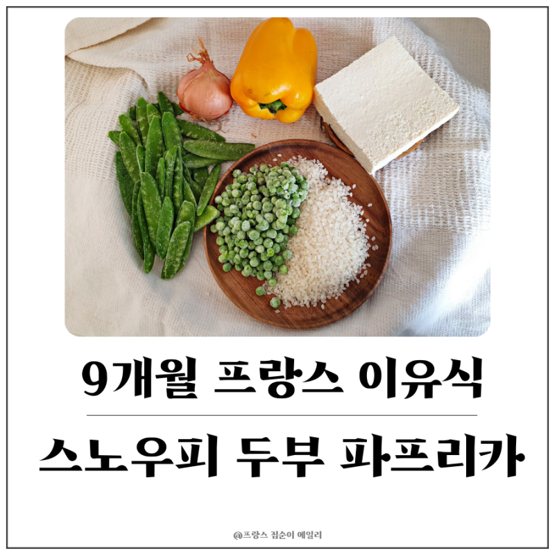 9개월 아기 프랑스 이유식 두부 스노우피 완두콩 파프리카 소고기로 밥 퓨레 만들기 네이버 블로그