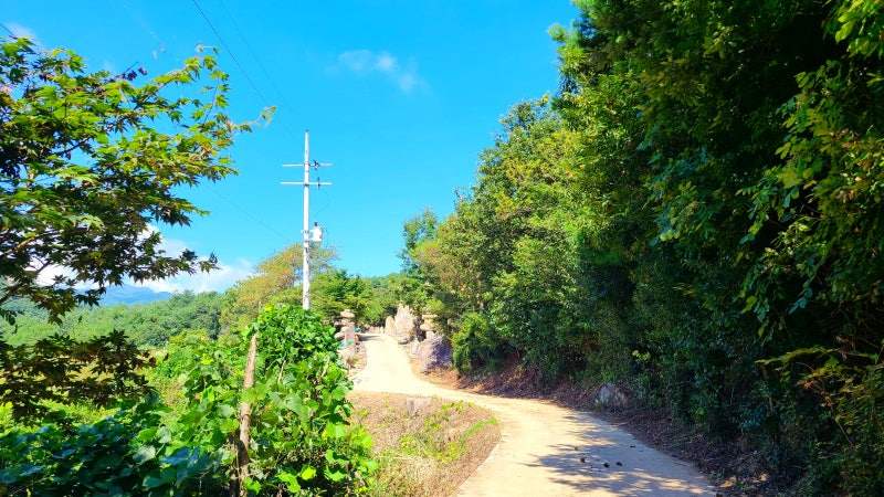 합천 여행 허굴산 천불천탑千佛千塔 돌탑명상길을 걷다 네이버 블로그