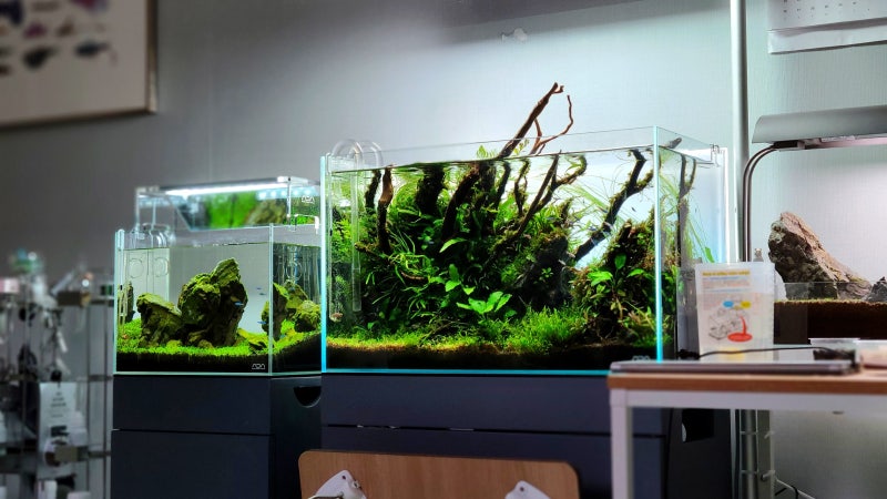 ADA mini m 석조 / Day 28. 미니티그마 런너 : 네이버 블로그