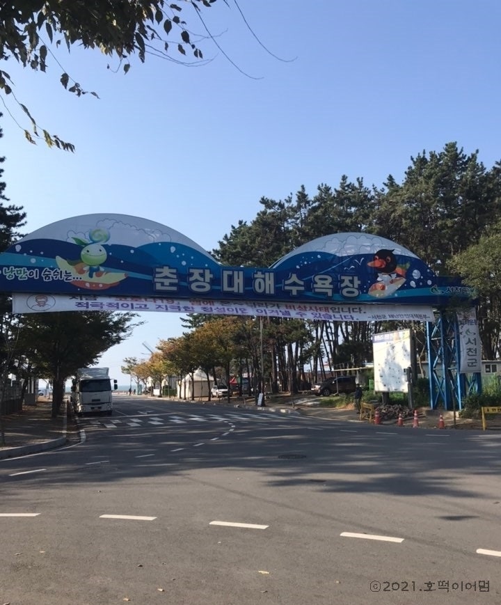 서천 춘장대해수욕장 조개잡이 존잼이야 네이버 블로그