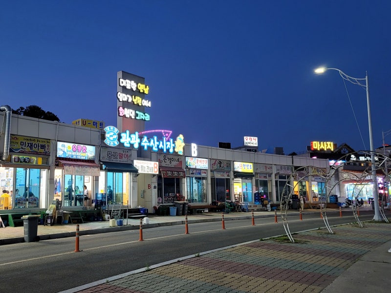 속초 대포항 수산시장 먹거리 및 대포항 풍경 네이버 블로그