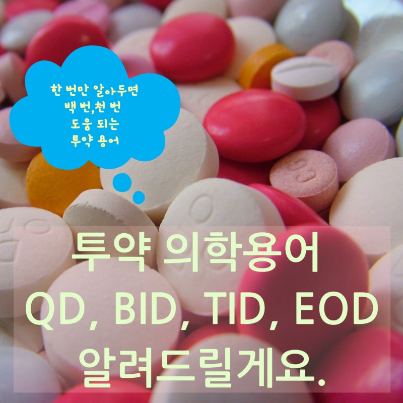 의학용어 QD, BID, TID, QE, EOD 어떻게 쓸까요? : 네이버 블로그