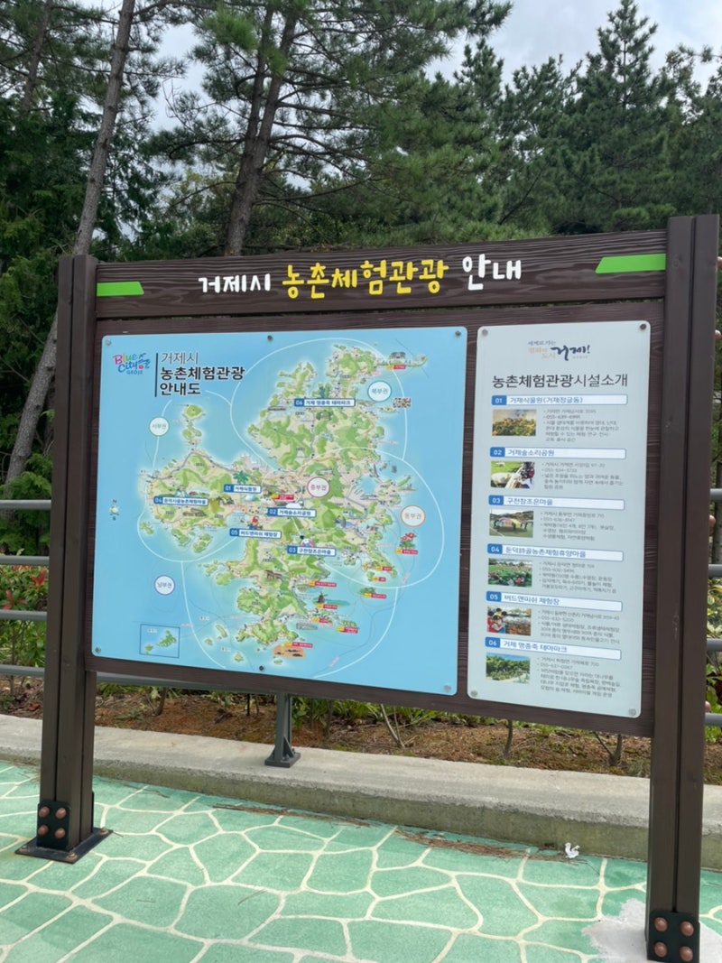 거제여행 숲소리공원거제양떼목장 양먹이주기체험 아이들과가볼만한곳 네이버 블로그