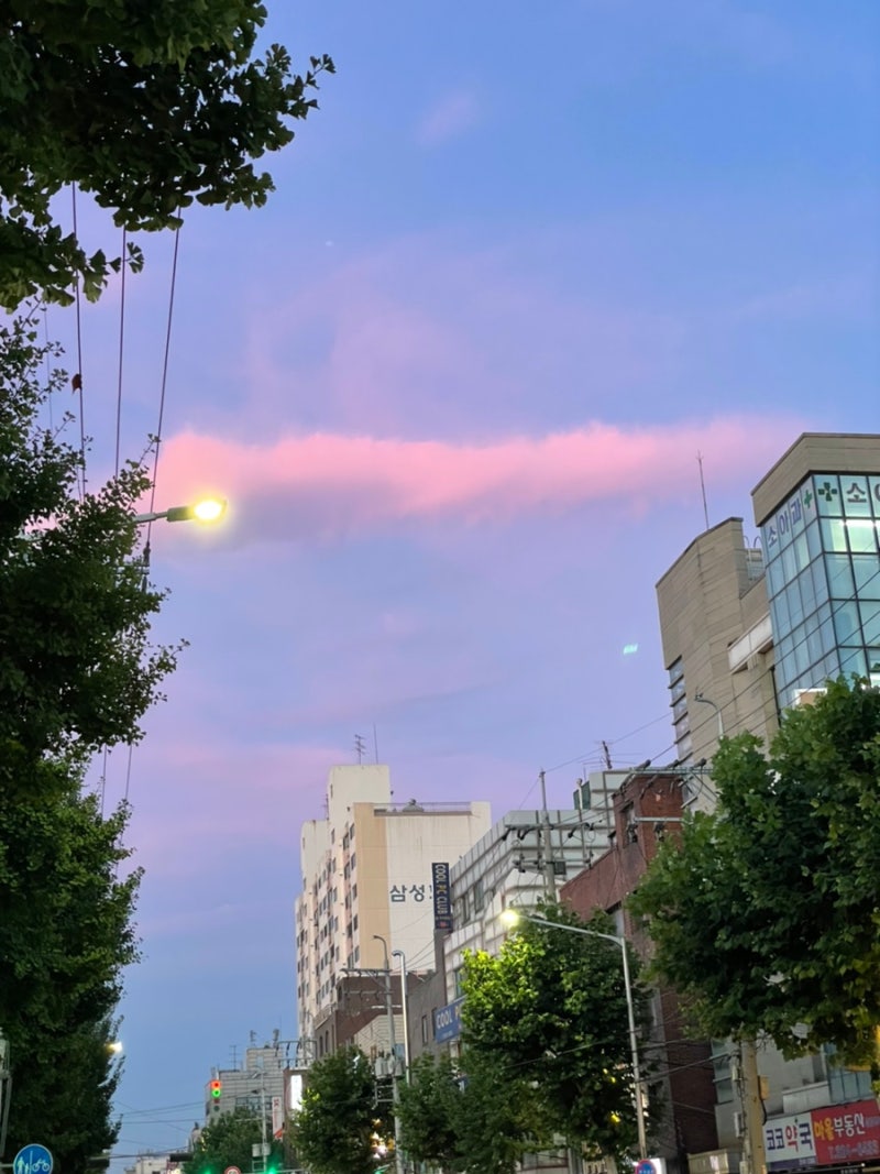 망원동 소품샵 놀거리 / 크로우캐년 제로퍼제로 어프어프스토어 포레스트컴퍼니 망원만물 수바코 : 네이버 블로그