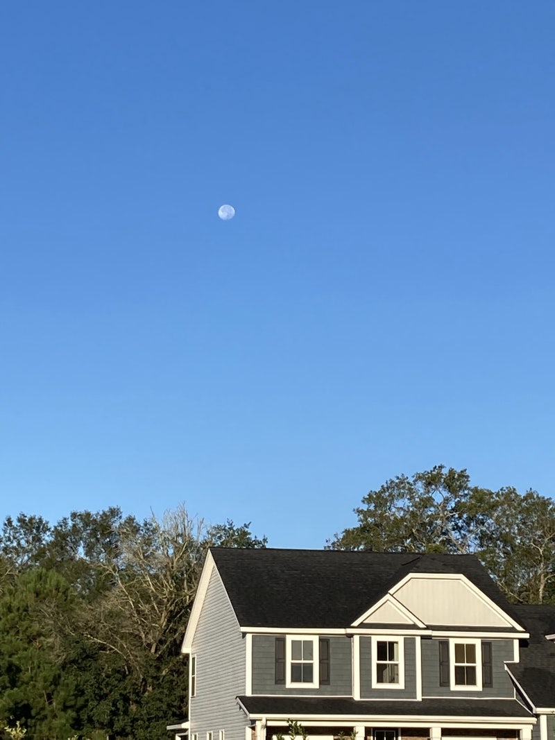 [미국 일상] 조지아주 공립 학교 서류 준비_GA Form 3300/ 3231 등 (멘붕+귀차니즘 발동) : 네이버 블로그