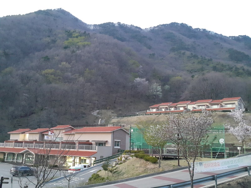 팔공산금화자연휴양림칠곡 폐금광도 있네 군위삼존석굴과 팔공산 하늘정원도 멀지 않아서 네이버 블로그