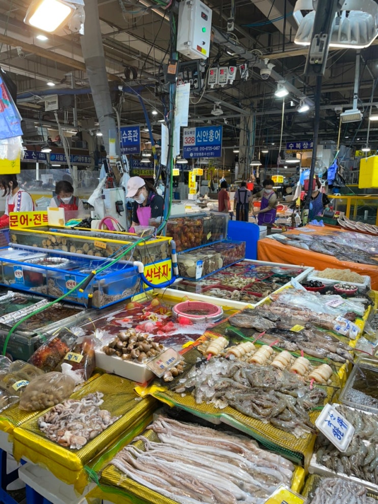 평촌농수산물시장제로페이수산대전캠핑바베큐la갈비 맛조개 가리비 구워먹기
