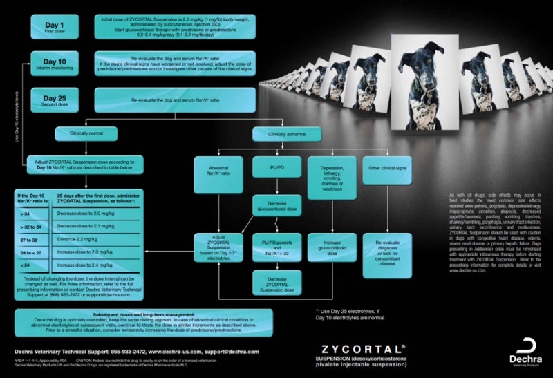Zycortal Notes (DOCP 주사제 자이코탈 테이퍼링 방법) + Docp주사제 설명서 : 네이버 블로그