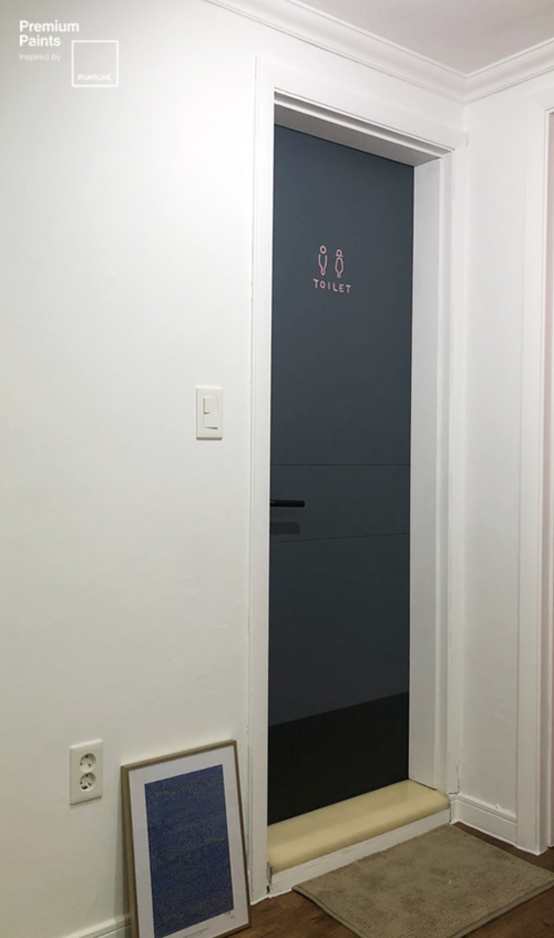 화장실 문짝 교체 대신 팬톤페인트로 욕실문 리폼 And 셀프인테리어 효과까지 네이버 블로그