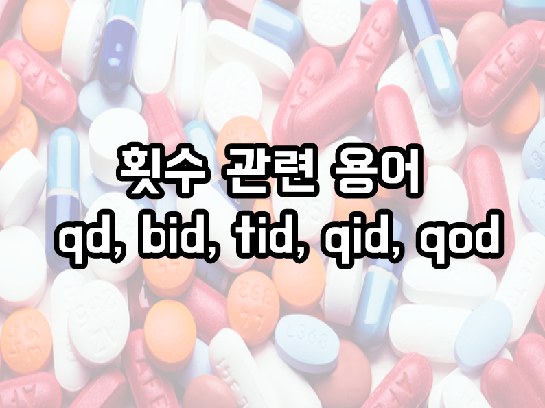 의학용어 qd, bid, tid, qid, qod, hs, ac, pc :: 투약 용어 : 네이버 블로그