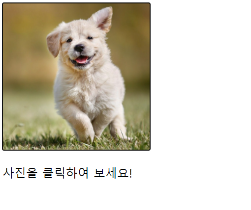 Html5css3javascript로 배우는 웹프로그래밍 기초chapter10 Dom과 이벤트 처리 입력 검증 네이버 블로그 7088