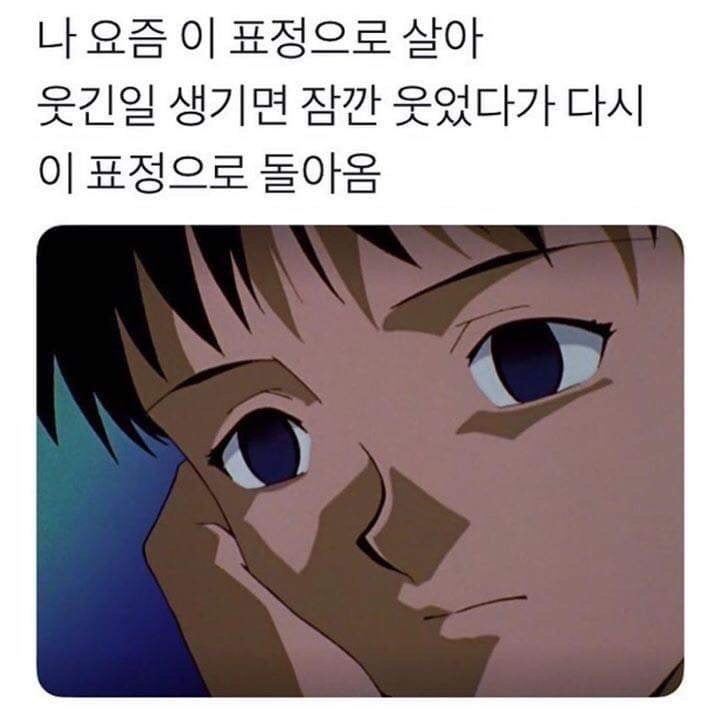 웃긴 짤 모음 / 웃긴 움짤 / 예능짤 / 유용한짤 / 웃긴 카톡 프사 짤 모음 #10 : 네이버 블로그