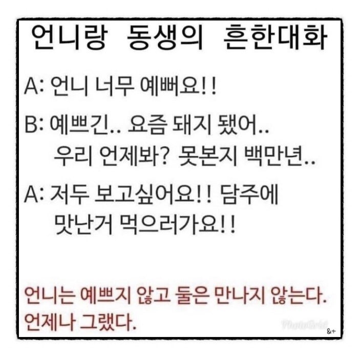 웃긴 짤 모음 / 웃긴 움짤 / 예능짤 / 유용한짤 / 웃긴 카톡 프사 짤 모음 #10 : 네이버 블로그