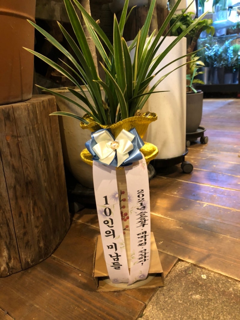 신년승진축하화분승진축하난삽질하는꽃쟁이양산꽃집물금꽃집증산꽃집 네이버 블로그