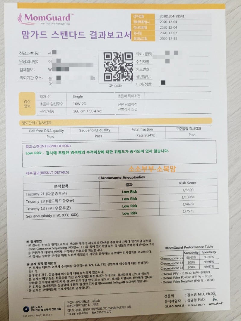 임신16주 2차 기형아검사 고위험군니프티검사비용태아보험청구 네이버 블로그